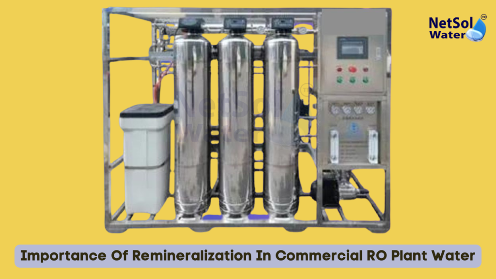 Importance Of Remineralization In Commercial RO Plant Water