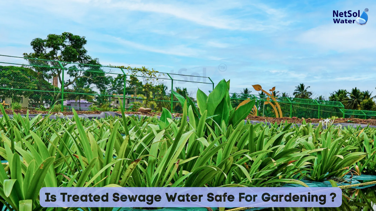Is Treated Sewage Water Safe For Gardening ? [2025]